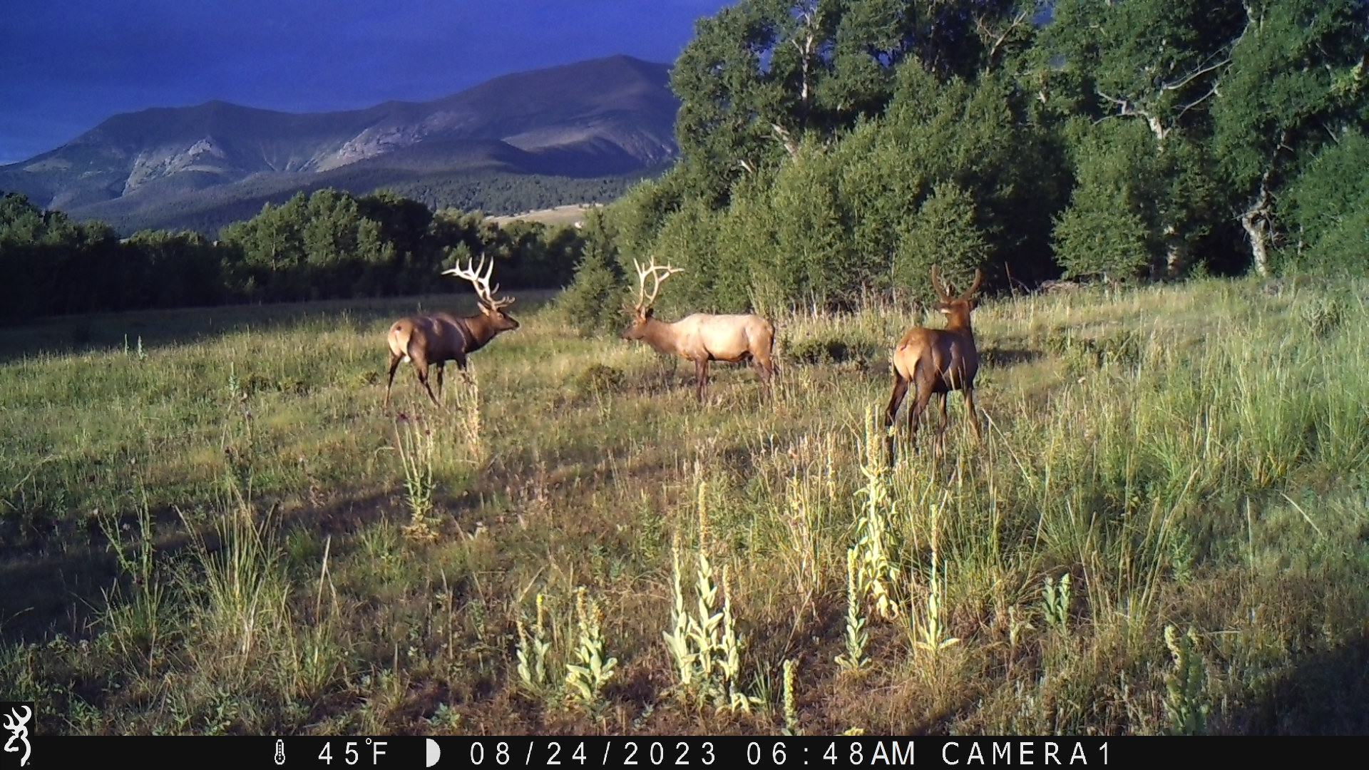 3870 County Road 125, Westcliffe, CO 81252 - Legacy Properties of Colorado